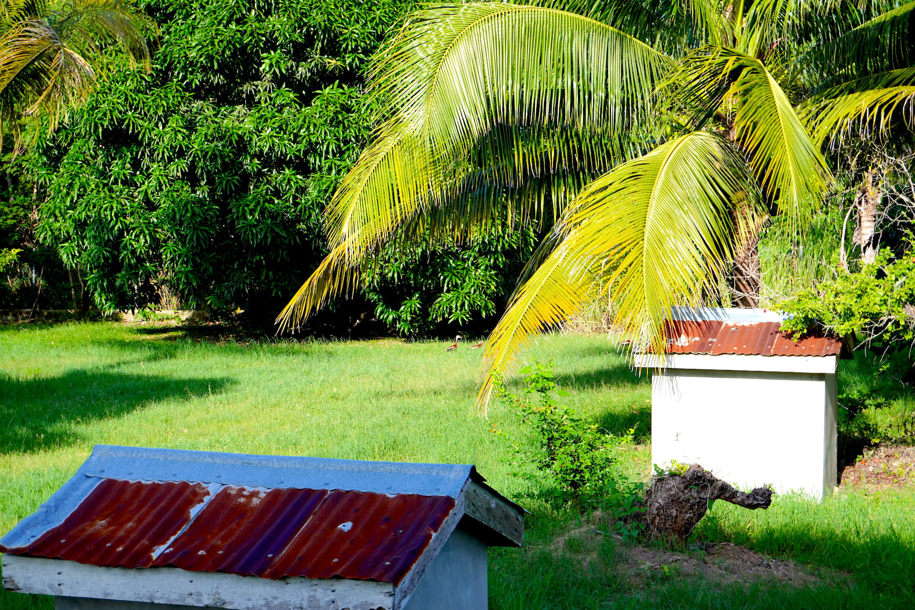 1.5 Acre Mini Estate with 4 Bed, 2 Bath Home, Office Building and 7-Car ...