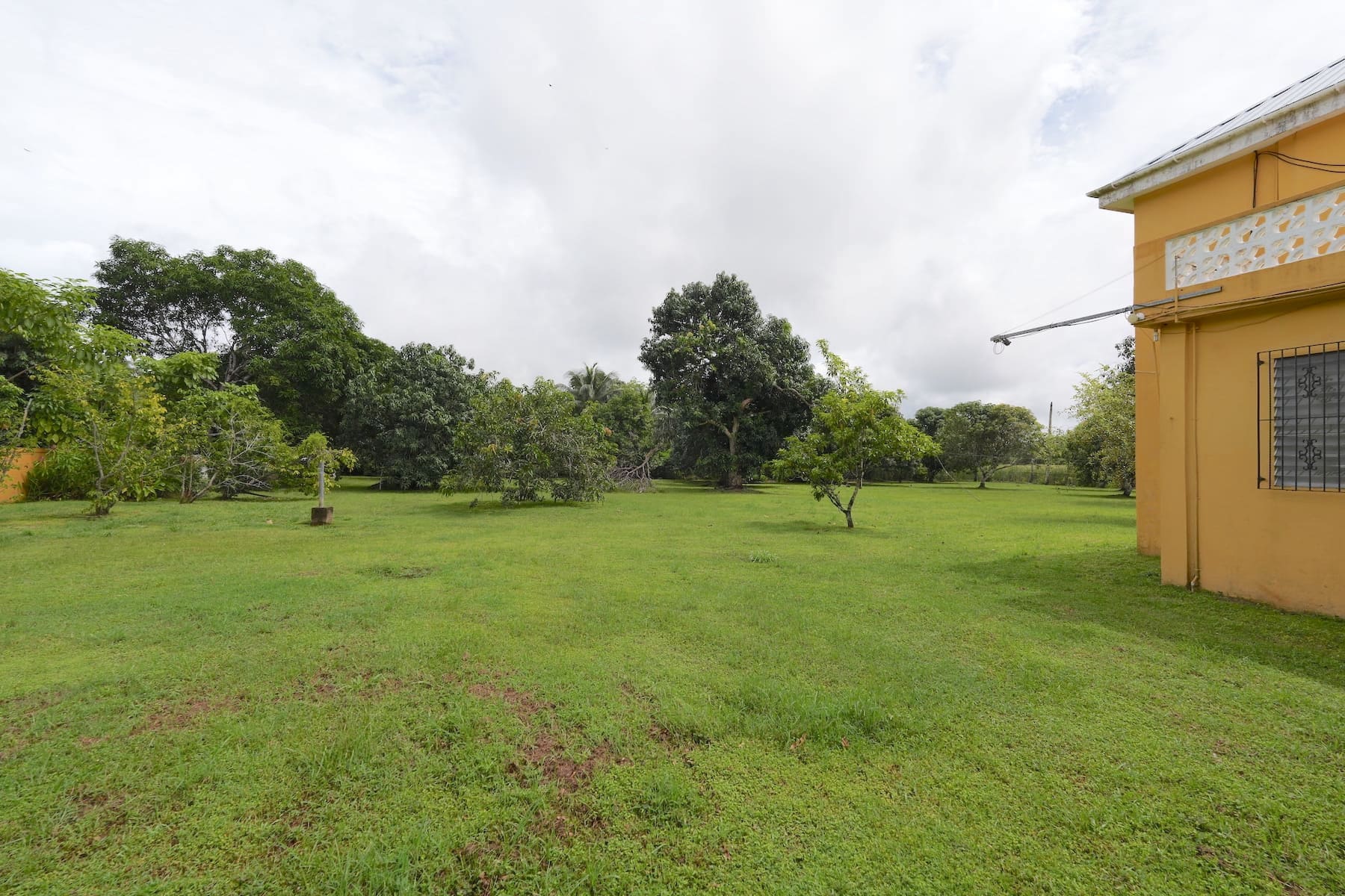 1.5 Acre Mini Estate with 4 Bed, 2 Bath Home, Office Building and 7-Car ...