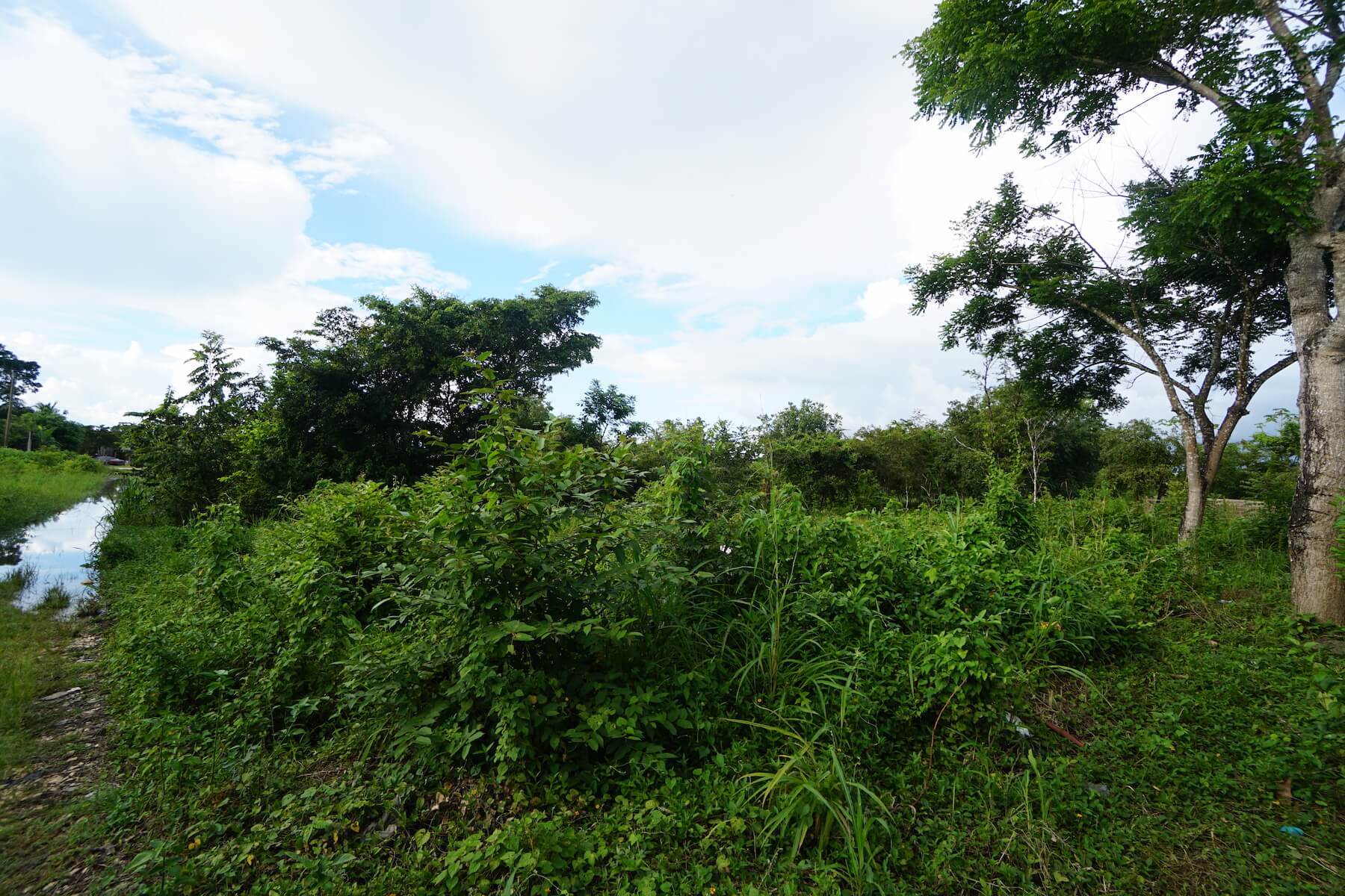 60ft x 100ft Starter Lot Along Happy Street- Belmopan City • Vista Real ...