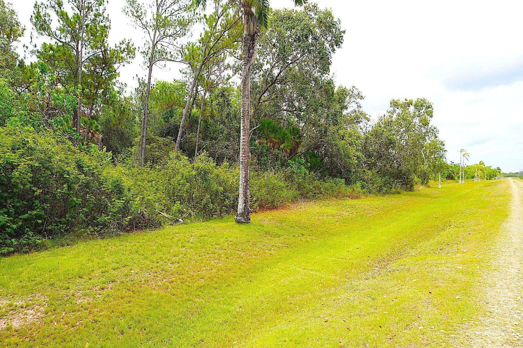 70-Acre Property in Northern Burrell Boom Village, BELIZE • Vista Real ...