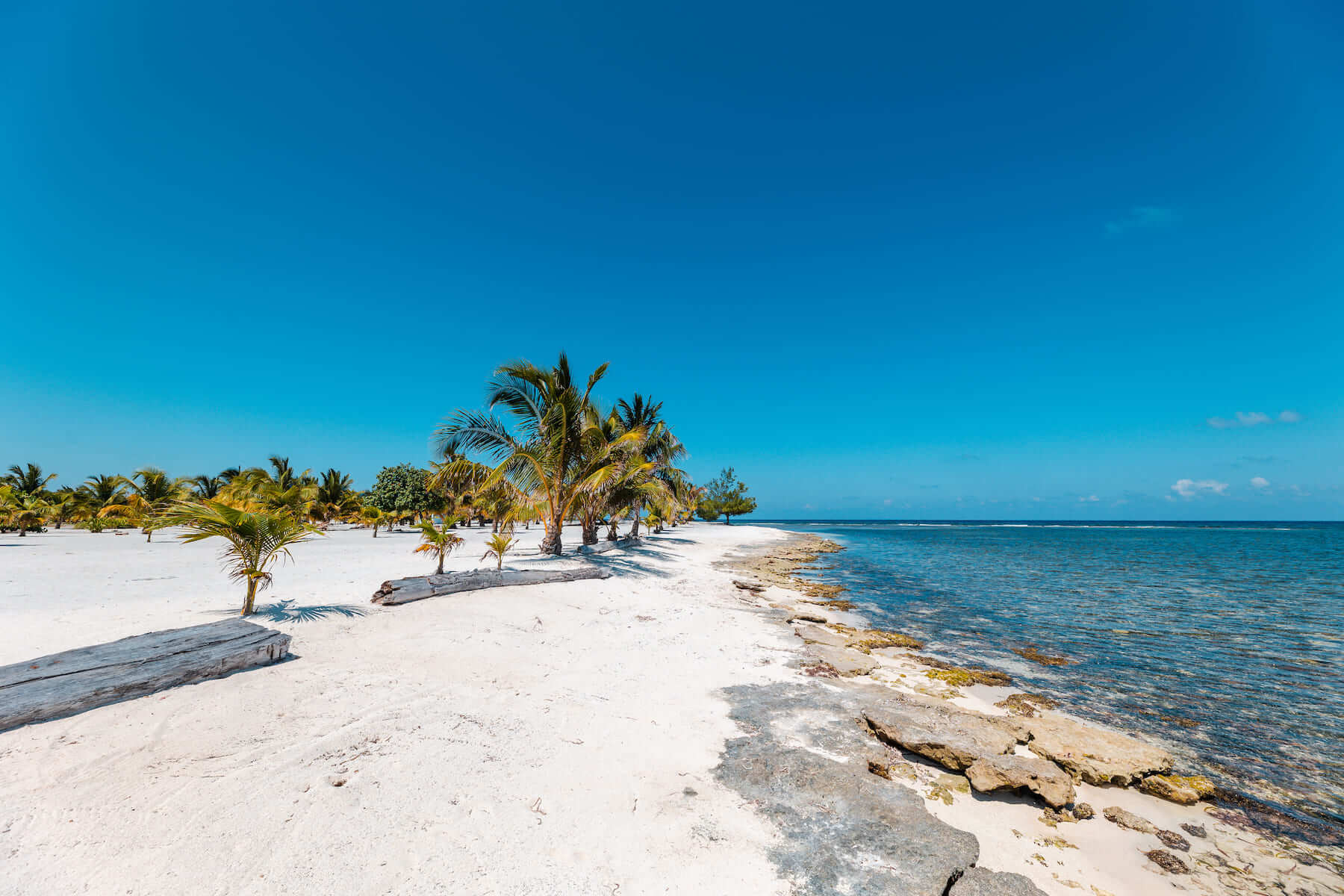 PRICE REDUCED! 14 Acres with 2,000 ft of Beach & Home on Calabash Caye ...
